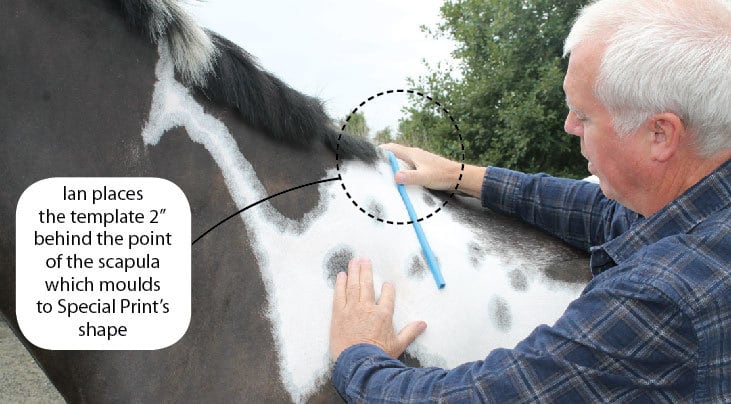 Ian is featured in Chiltern & Thames Rider Magazine - Saddles Worldwide